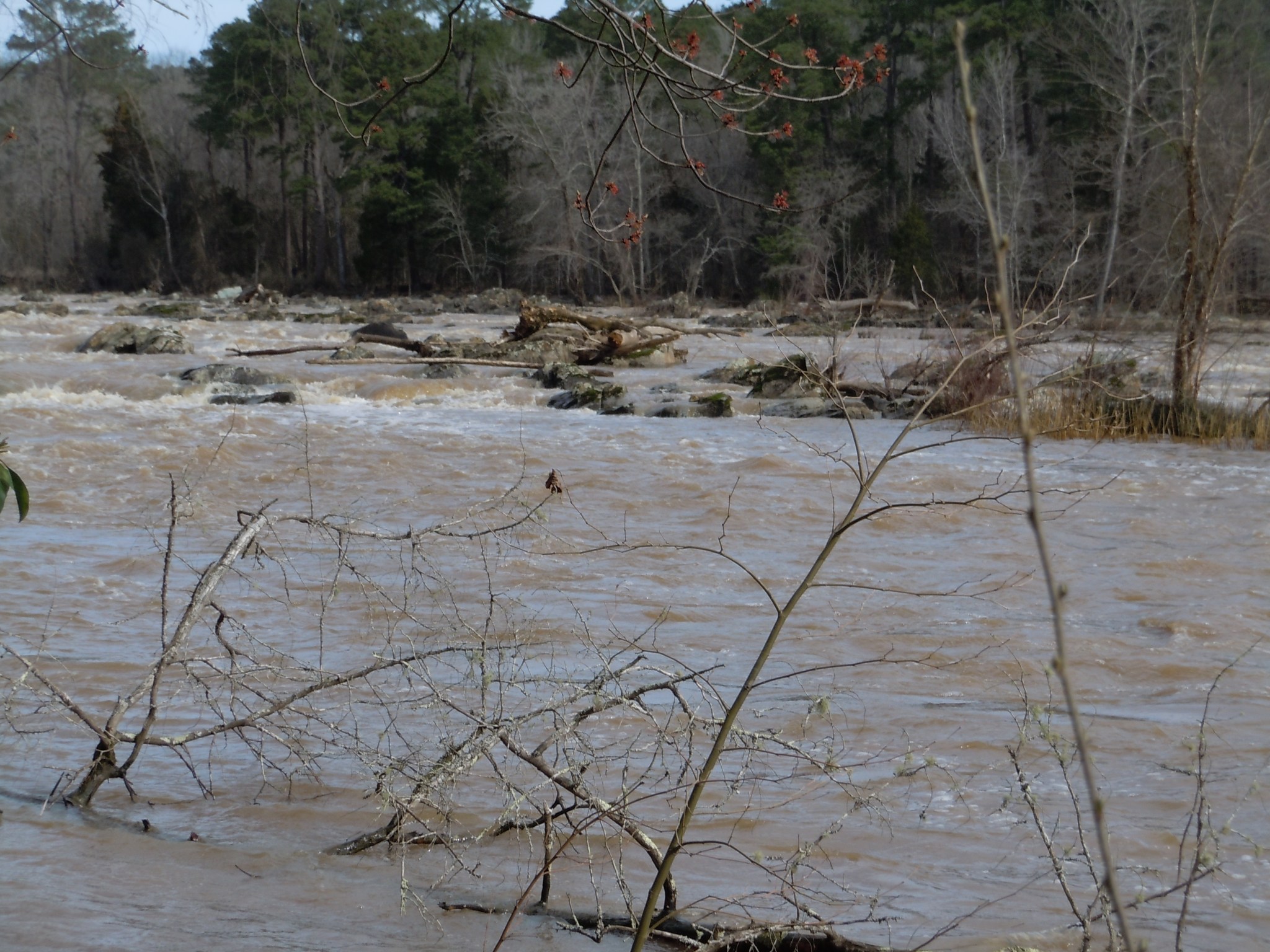 Enjoying the Haw River on the First Day of Spring! – South Wake ...