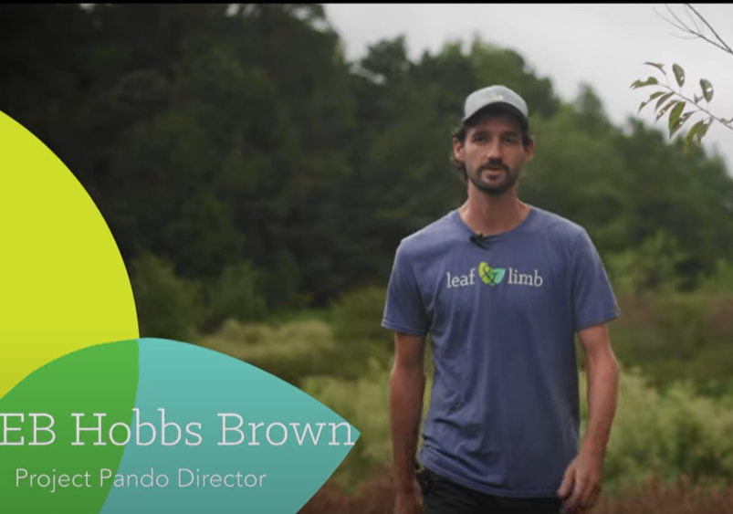 Reminder! Let’s Learn About Project Pando! – South Wake Conservationists