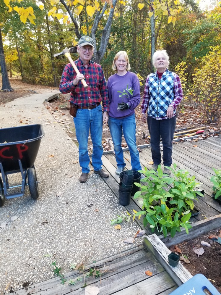 A Fun and Successful Planting Day at Yates Mill County Park! – South ...