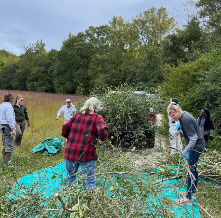 Invasive Species Removal Workday – South Wake Conservationists