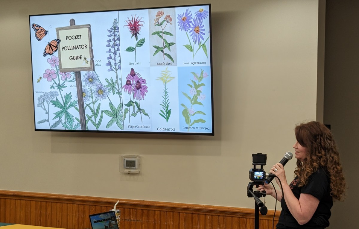 Story of Kids Saving Pollinators & Changing the World! – South Wake ...