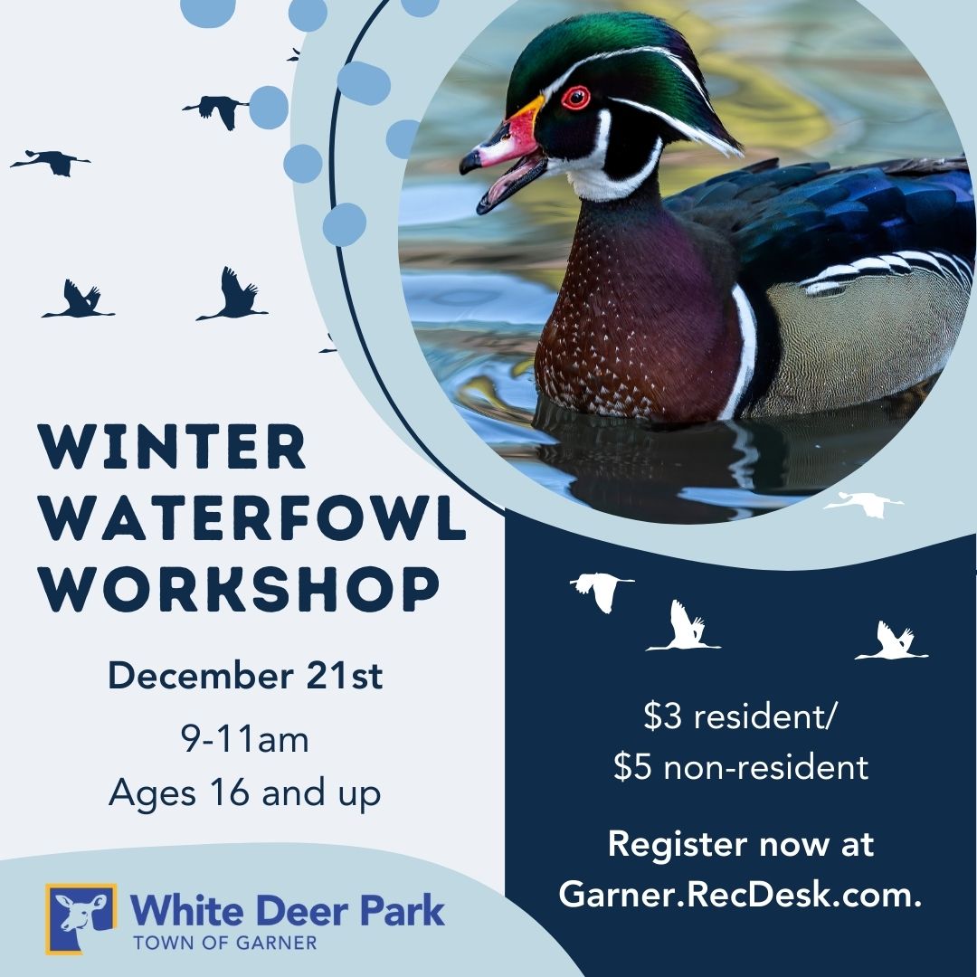 Garner Parks Workshop – Winter Waterfowl – South Wake Conservationists