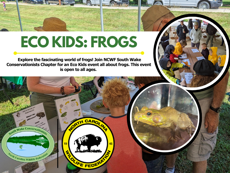 Eco Kids: All About Frogs – South Wake Conservationists